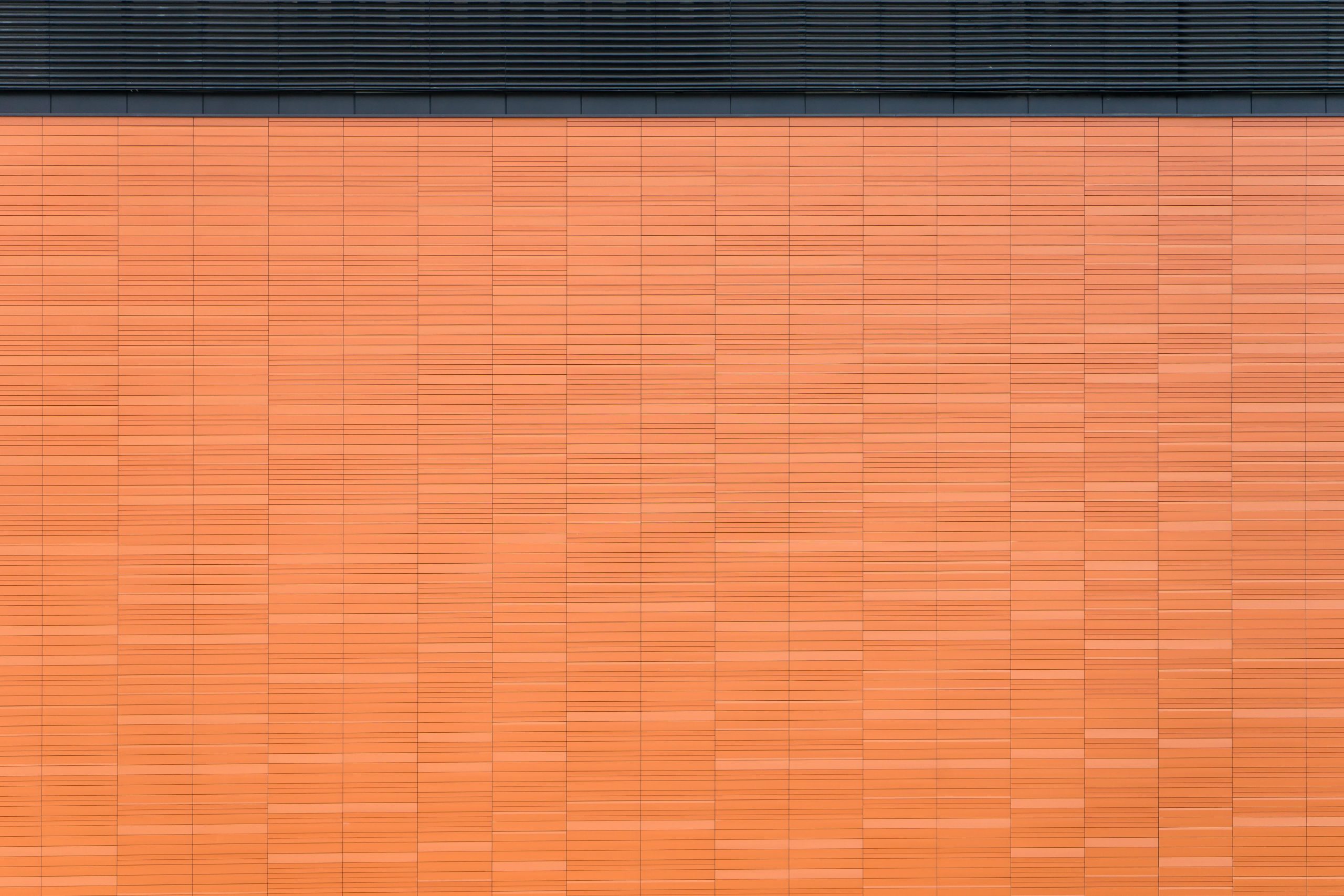FLAVA | scott-webb-XlWaVza-ZhE-unsplash